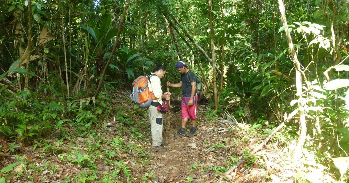 Corcovado Intense Jungle Trekking - ARA Tours Costa Rica