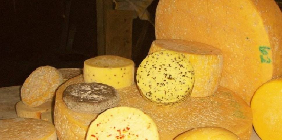 The crazy cheesemaker of Turrialba - ARA Tours Costa Rica