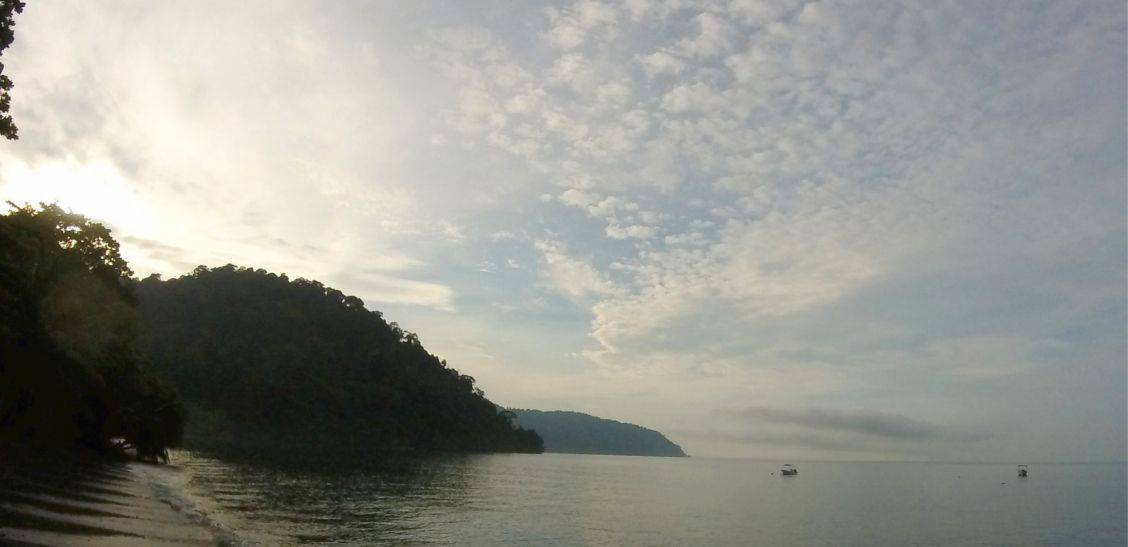 Golfo Dulce: A hidden paradise - ARA Tours Costa Rica